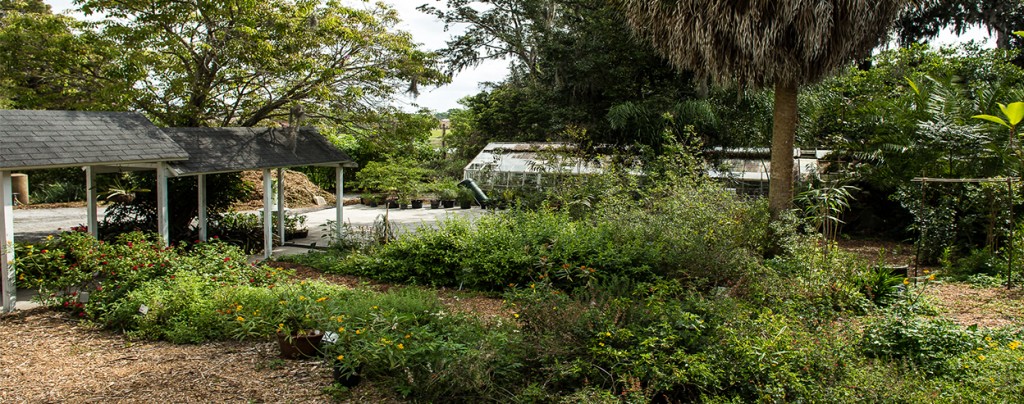Nehrling Gardens - Nehrling Gardens